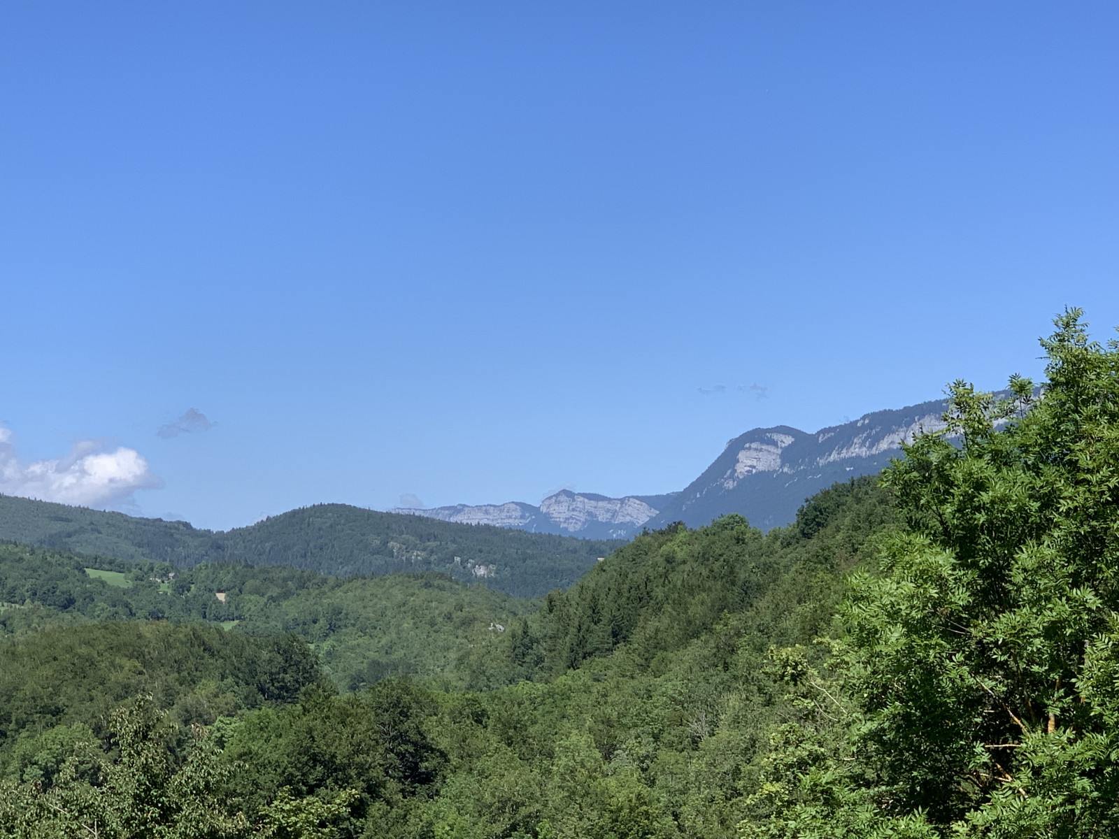Forêt Domaniale de la Sapine-Côté Belle - MOOVTOO Guide