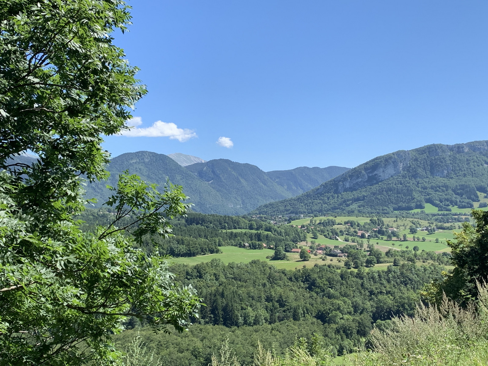 Forêt Domaniale de la Sapine-Côté Belle - MOOVTOO Guide