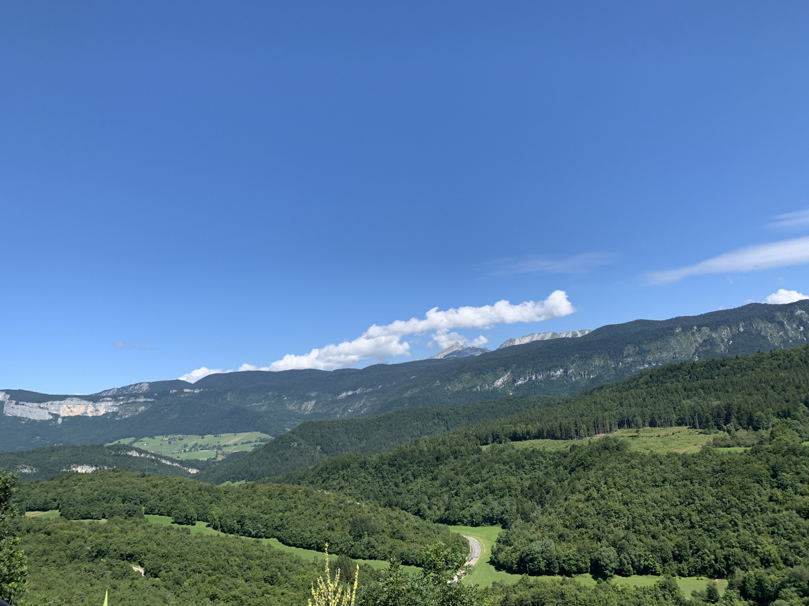 Forêt Domaniale de la Sapine-Côté Belle - MOOVTOO Guide