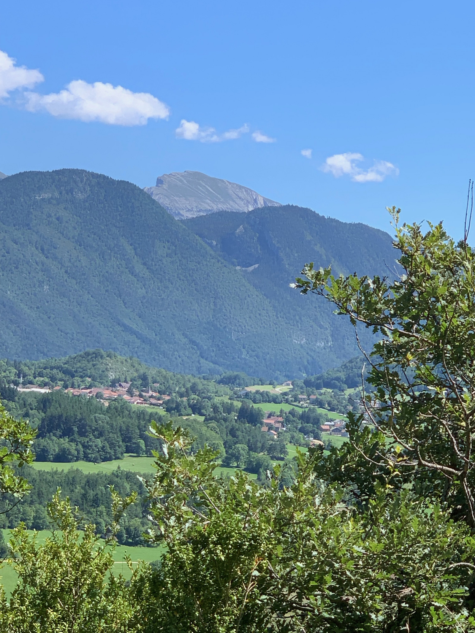 Forêt Domaniale de la Sapine-Côté Belle - MOOVTOO Guide