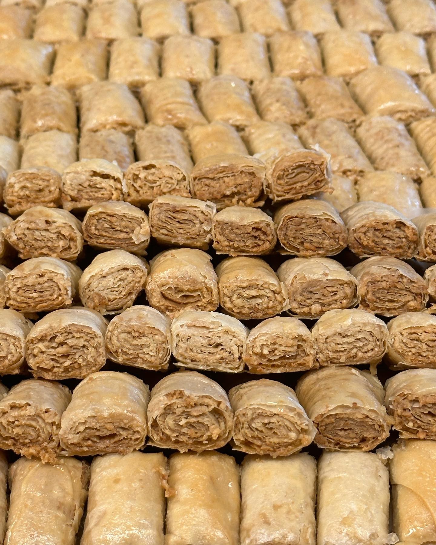 Rafaat Hallab 1881 - MOOVTOO Guide