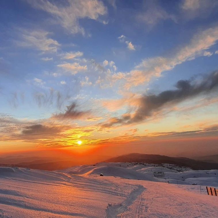 Zaarour Club - MOOVTOO Guide